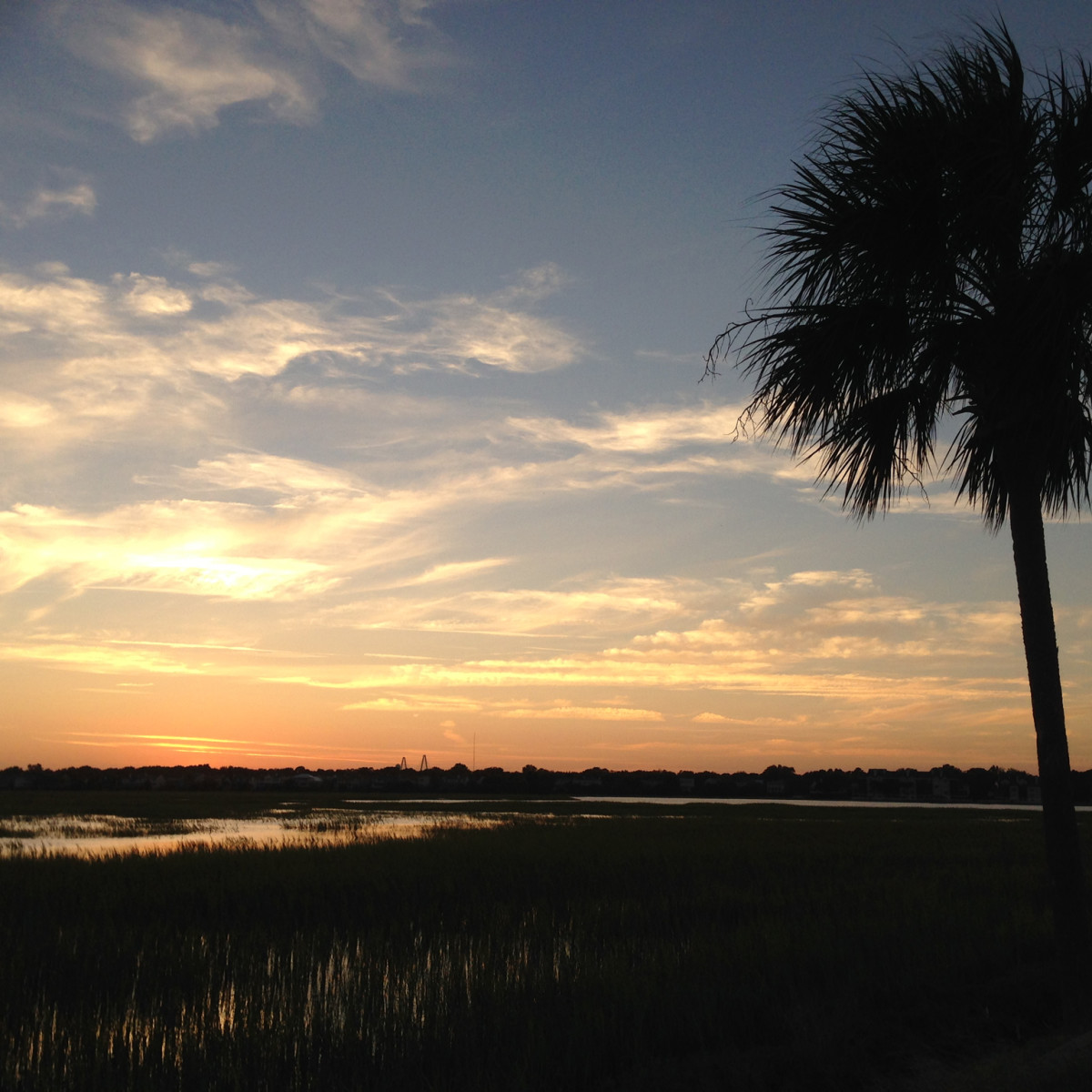 Lowcountry Sunset - David McNamara