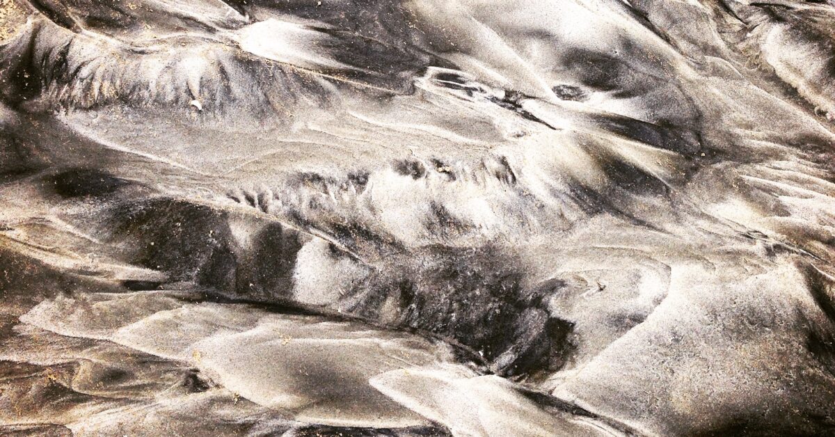 Landscapes | David McNamara