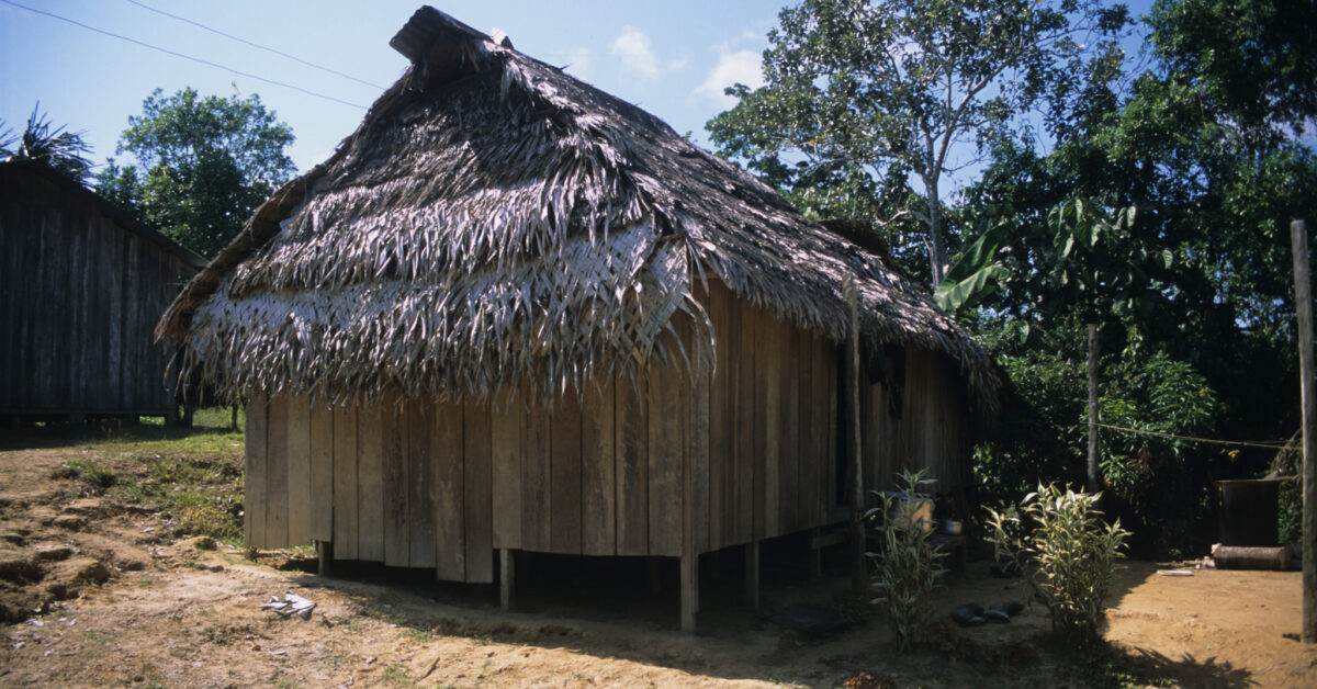 Indigenous Village Life | David McNamara | Author, artist, pilgrim ...
