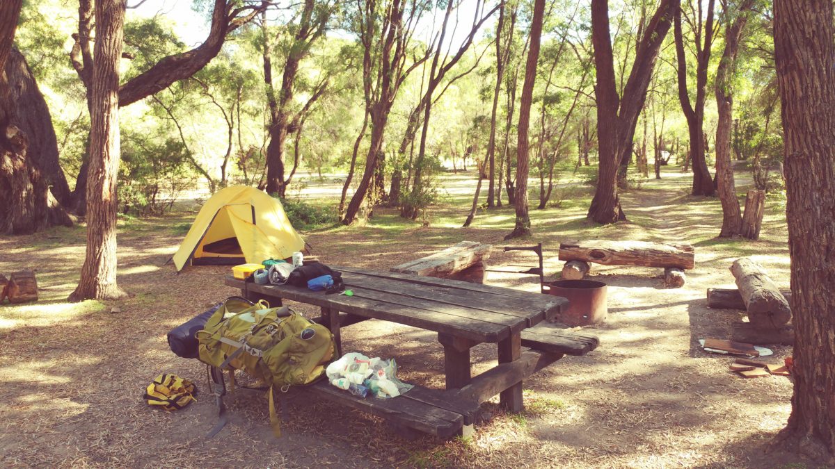 Conto Springs Campground | David McNamara | Author, artist, pilgrim ...